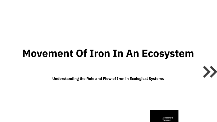 Movement Of Iron In An Ecosystem by Ahmet Can on Prezi