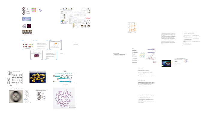 Inheritance and Characteristics KS3 by Michael Stewart on Prezi