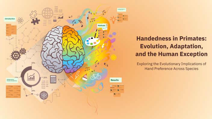 Handedness in Primates: Evolution, Adaptation, and the Human Exception ...