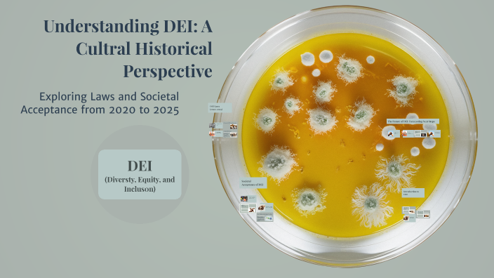Understanding DEI: A Historical Perspective by Ava Stokes on Prezi