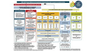 Approach to diabetes management - Orals and Non-insulins by John Begert ...