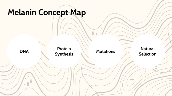 Melanin Concept Map by Aidan Chopin on Prezi