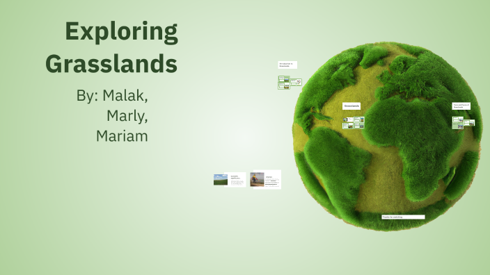 Exploring Grasslands by Malak Hazem on Prezi