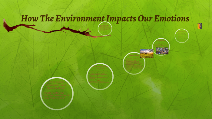 How The Enviroment Impacts Our Emotions by Megan Ballor on Prezi