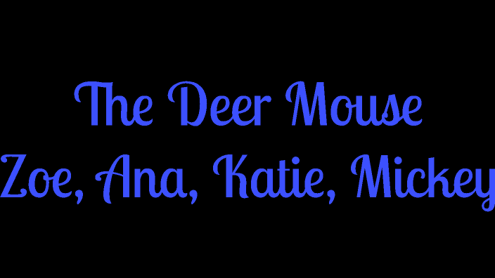 Deer Mice Natural Selection by Zoe James on Prezi