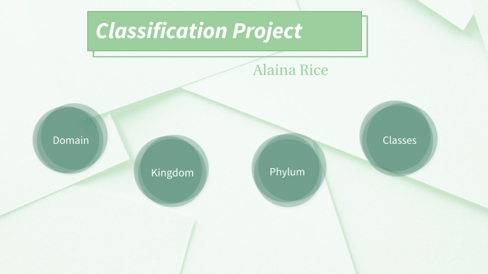 Classification Project (new) by Alaina Rice on Prezi