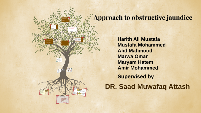 Approach to obstructive jaundice by Harith Ali Mustafa on Prezi