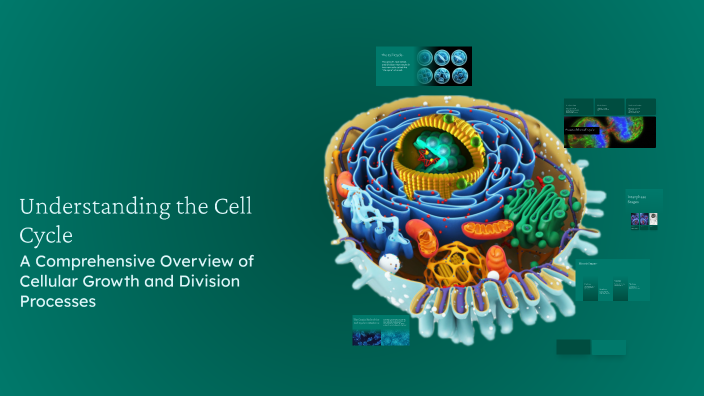 Understanding the Cell Cycle by Ana Zarate on Prezi