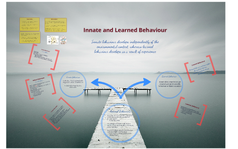 Innate and Learned Behaviour by Elly Fillery