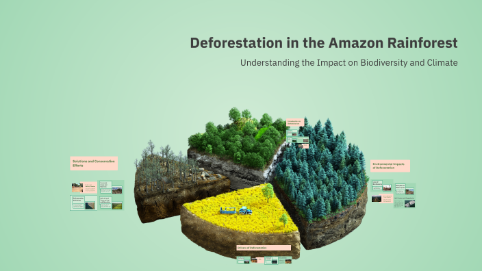 Deforestation in the Amazon Rainforest by Christopher Hu on Prezi