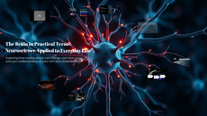 The Brain in Practical Terms: Neuroscience Applied to Everyday Life by ...
