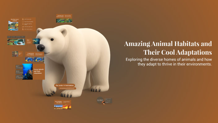 Amazing Animal Habitats and Their Cool Adaptations by Mackenzie ...