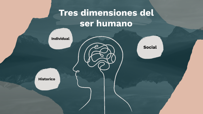 Dimensiones humanas by Luz Natalia Plata Fajardo on Prezi