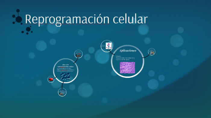 reprogramación celular by halo124h aa on Prezi