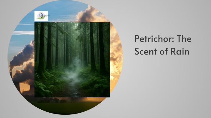 Petrichor: The Scent of Rain by هود on Prezi
