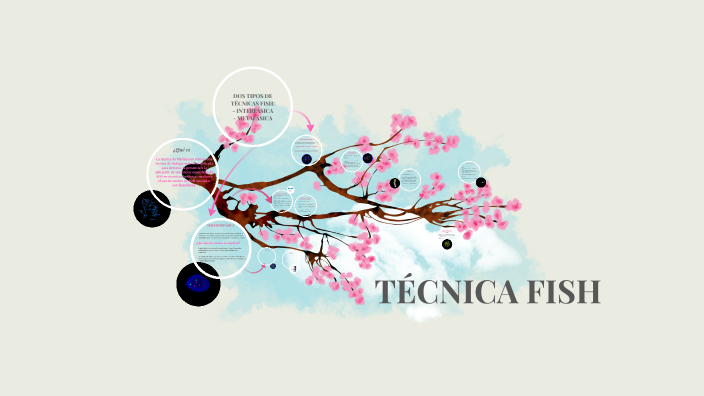 TÉCNICA FISH by Victoria Carrillo on Prezi