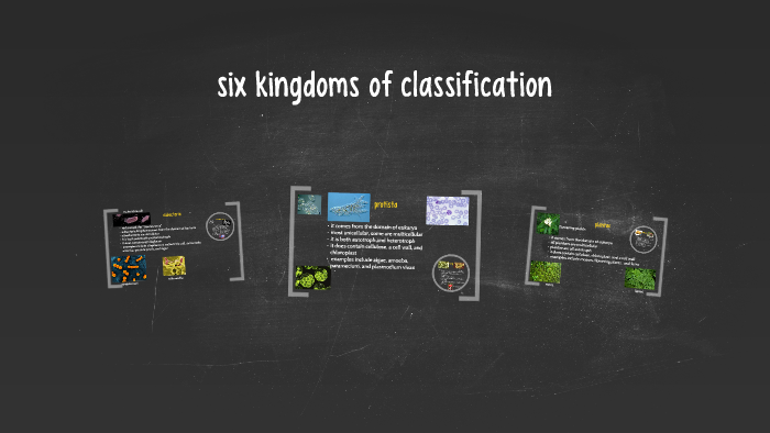 Six Kingdoms of Classification by madison bradley on Prezi