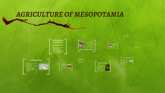 AGRICULTURE OF MESOPOTAMIA by Humna Ikram on Prezi