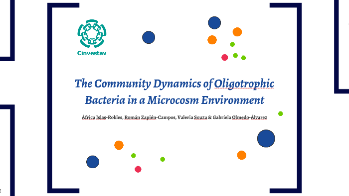 The Community Dynamics of Oligotrophic Bacteria in a Microco by Román ...
