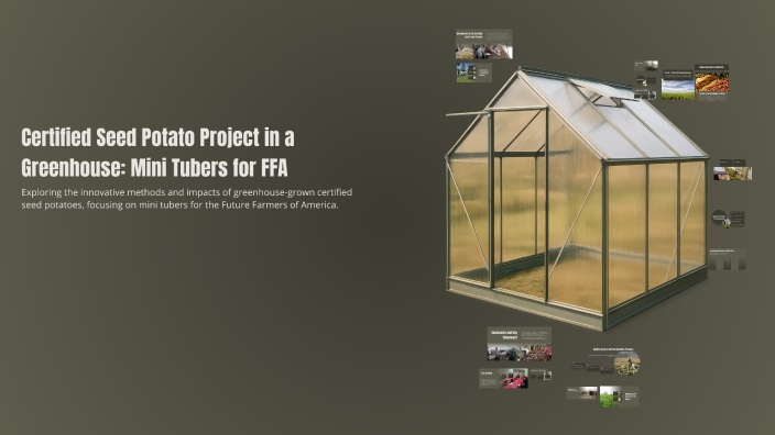 Certified Seed Potato Project in a Greenhouse: Mini Tubers for FFA by ...