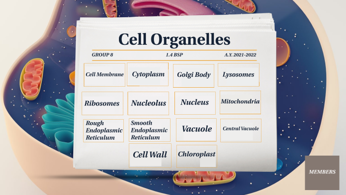 CELL ORGANELLES CHART by Rhymr Saim on Prezi