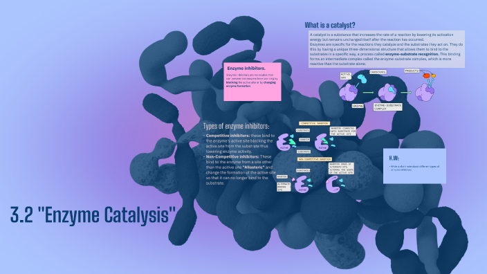 AP_BIO 3.2 "Enzyme Catalysis" by Yonis Maher on Prezi
