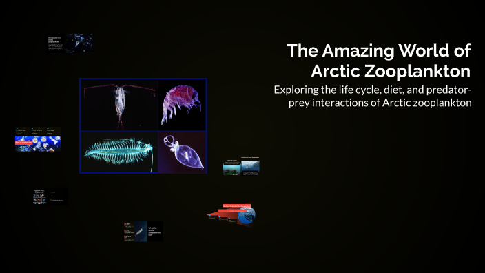 The Amazing World of Arctic Zooplankton by Hector Reyes Hernandez on Prezi