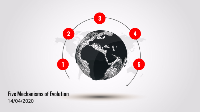 Five Mechanisms of Evolution by Emily Teal on Prezi