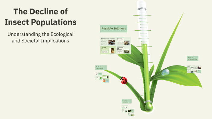The Decline of Insect Populations by Medha Gorantla on Prezi