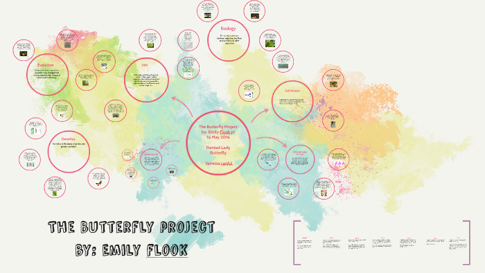 The Butterfly Project by Emily Flook on Prezi