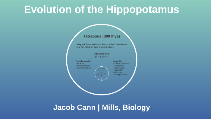 Evolution History of the Hippopotamus by Jacob Cann on Prezi