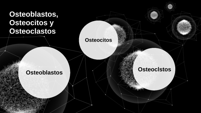 Osteoblastos, osteocitos y osteoclastos by Daniel González on Prezi