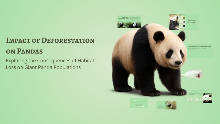 Impact of Deforestation on Pandas by Josephine Pena Cruz on Prezi