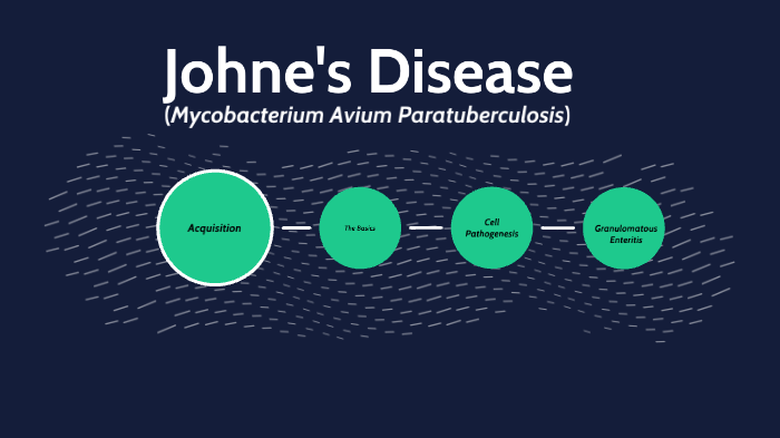 Johne's Disease by Nikole Mader on Prezi
