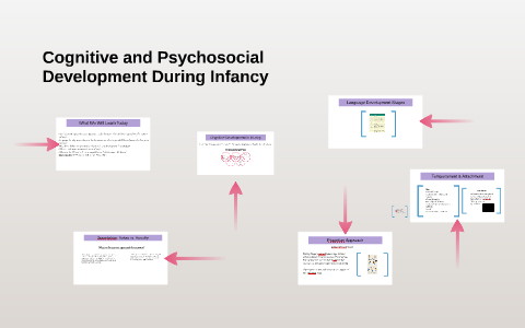 Cognitive and Psychosocial Development During Infancy by natacha cesar ...