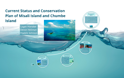 Conservation Plan of Misali Island and Chumbe Island by on Prezi