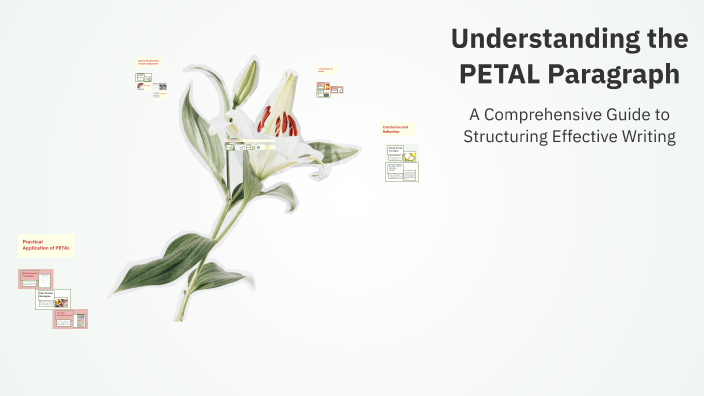 Understanding the PETAL Paragraph by Ibrahim on Prezi