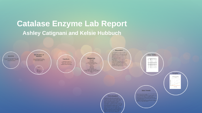 Catalase Enzyme Lab Report by Kelsie Hubbuch on Prezi