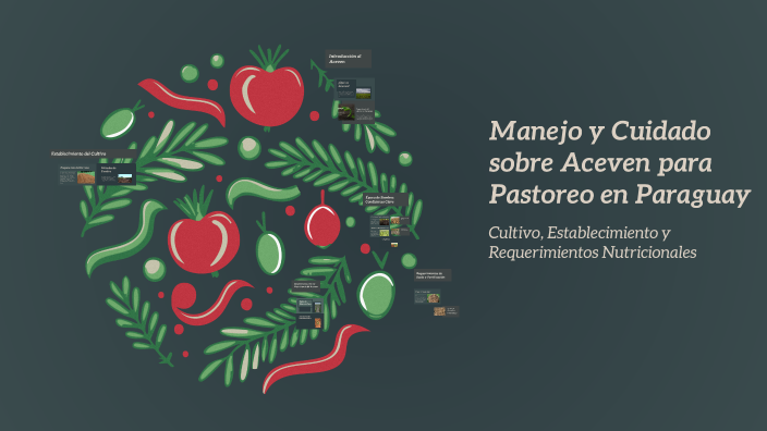 Manejo y Cuidado sobre Aceven para Pastoreo en Paraguay by Armando ...