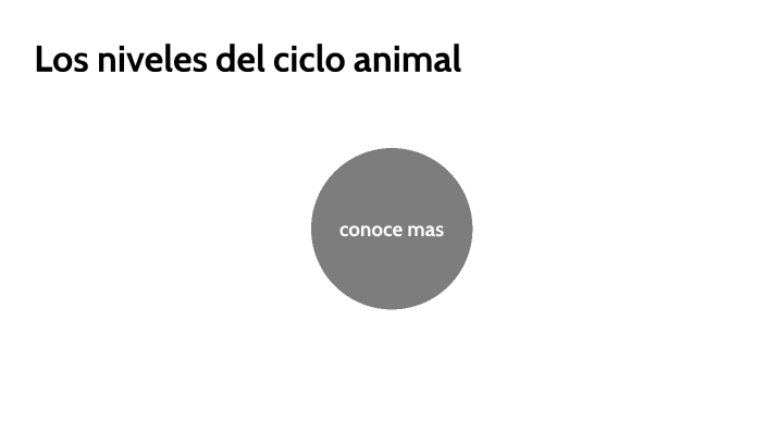 Piramide animal by OLVIN MUNGUIA on Prezi