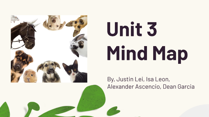 Justin Lei, Isabella Leon, Alexander Ascencio, & Dean Garcia - Unit 3 Mind Map by Isabella Leon ...