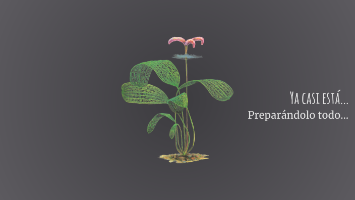 Mapa Mental de la Fotosíntesis by Dulce Amador on Prezi