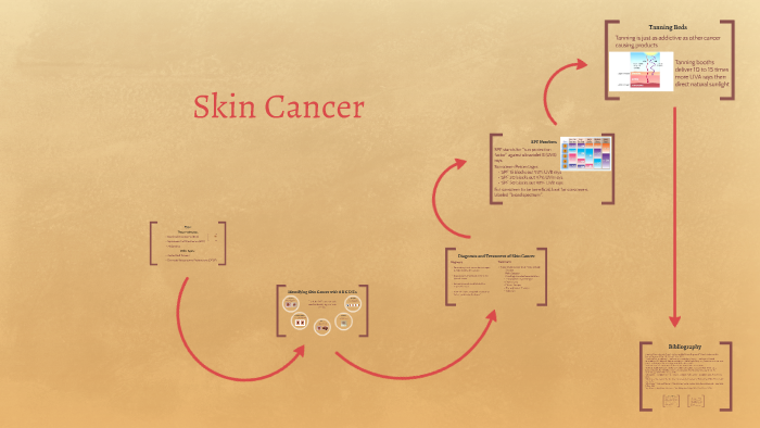 Skin Cancer Project by Rachel Hinz on Prezi