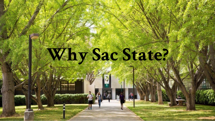 CSUS Counselor Presentation by Matthew Balli on Prezi