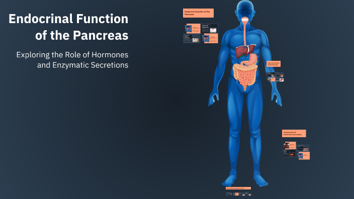 Endocrinal Function of the Pancreas by 29112024101379 on Prezi