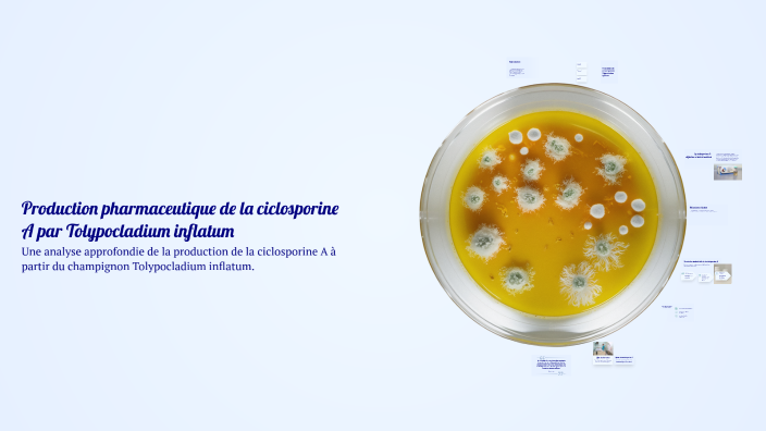 Production pharmaceutique de la ciclosporine A par Tolypocladium ...