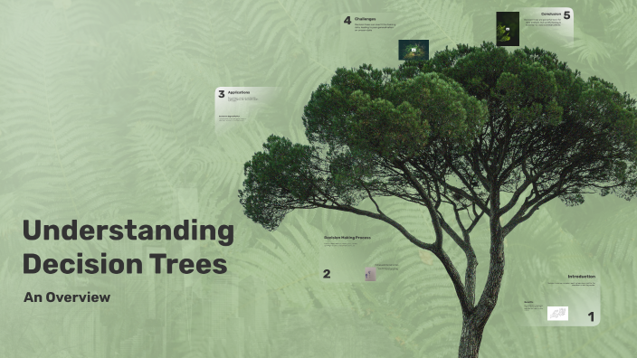 Understanding Decision Trees by Emma Laidman on Prezi