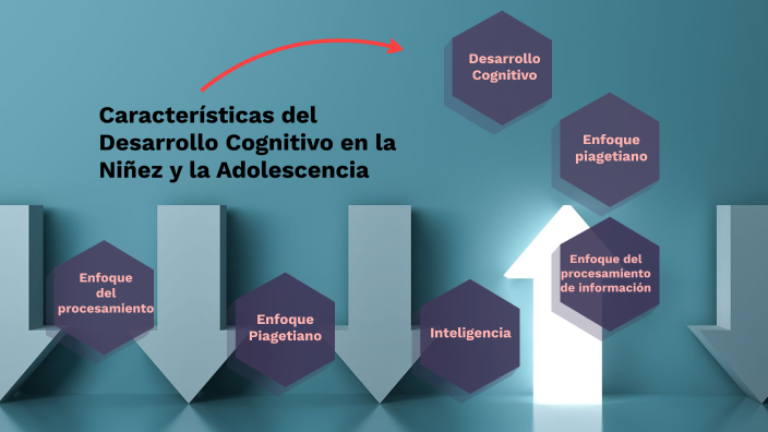 Características Del Desarrollo Cognitivo En La Niñez Y La Adolescencia