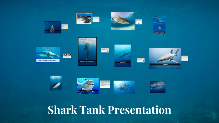 shark-tank-presentation-by-tim-tamney