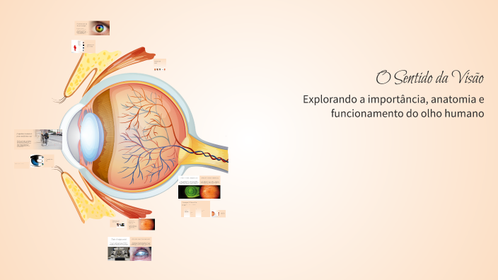 O Sentido da Visão by Isabela Azevedo on Prezi